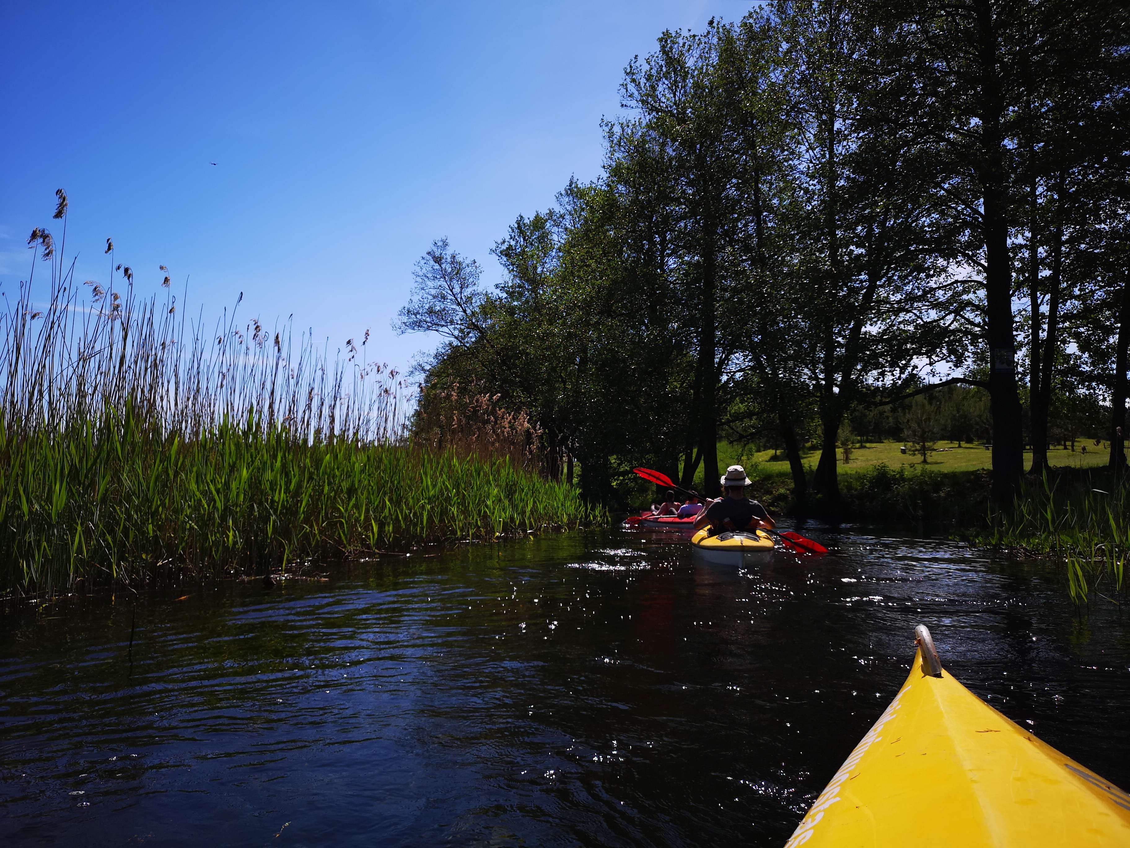 One day route Žeimena for kayak rental in Lithuania