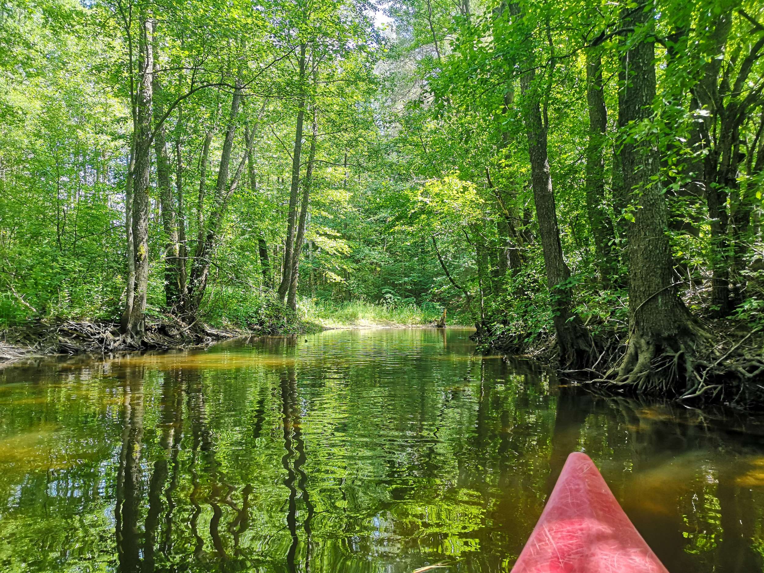 Kiauna River - one day route for kayaking in Aukstaitija, Lithuania